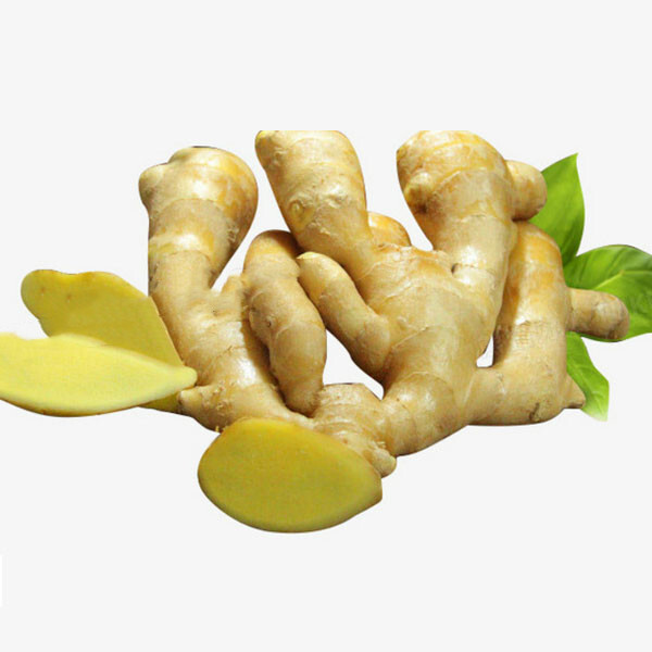 Ginger - PIONEER GARLIC GROUP